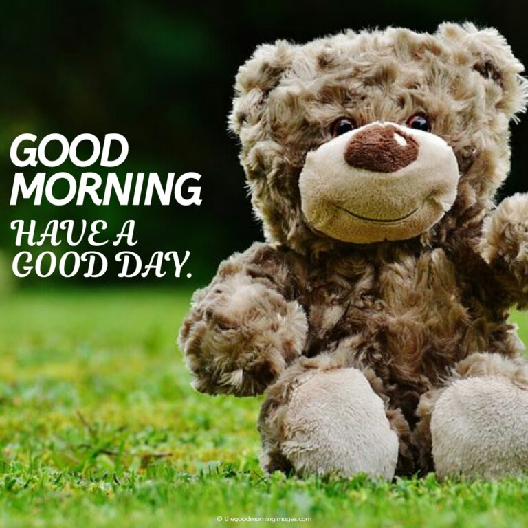 120 Sweet Good Morning Teddy Bear Images A To Z