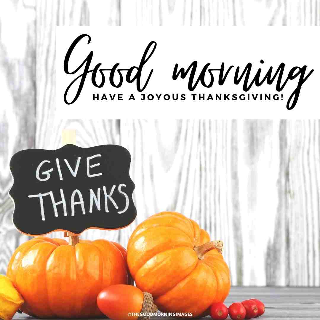 55+ Best Good Morning Thanksgiving Images [2024]
