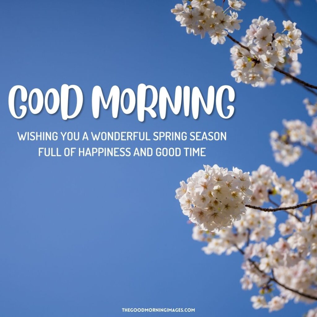 85+ Fantastic Good Morning Spring Images With Wishes