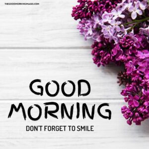 85+ Fantastic Good Morning Spring Images With Wishes