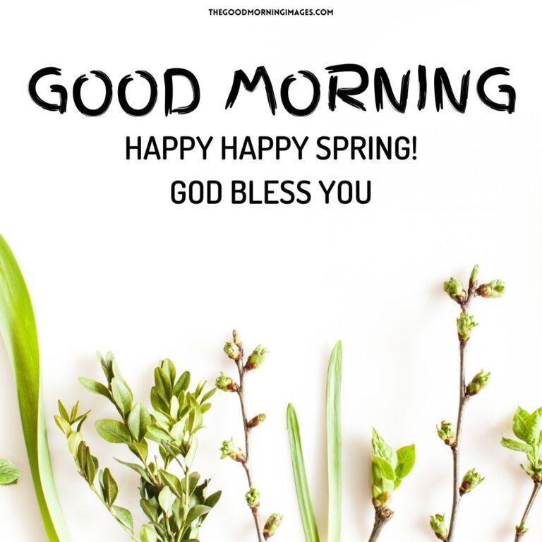85+ Fantastic Good Morning Spring Images With Wishes