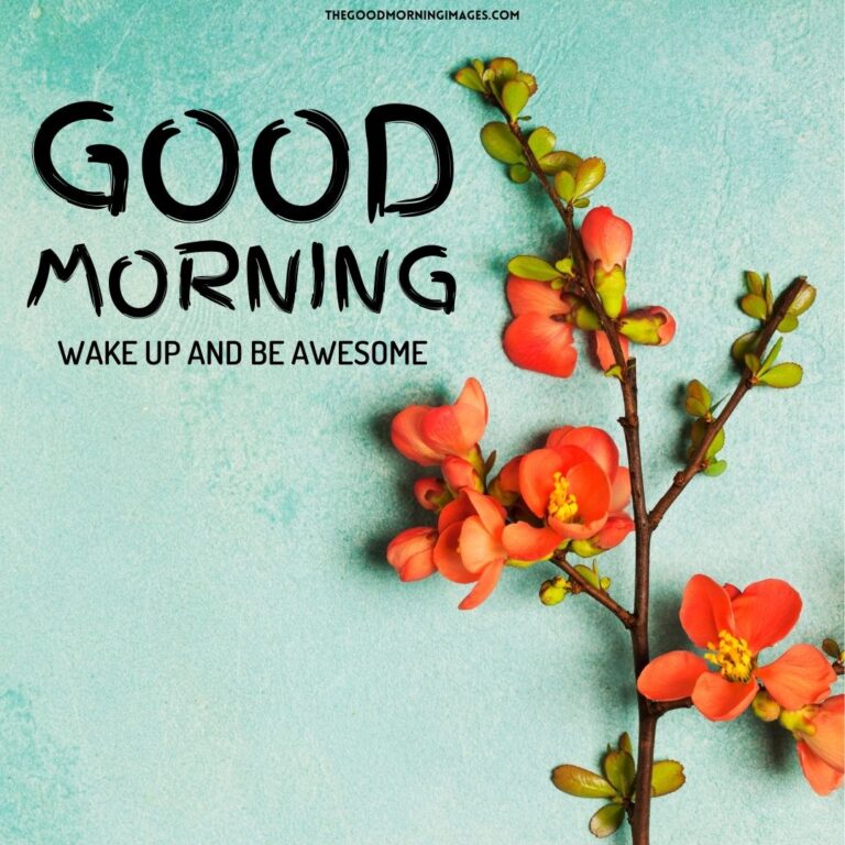 85+ Fantastic Good Morning Spring Images With Wishes