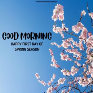 85+ Fantastic Good Morning Spring Images With Wishes