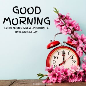 85+ Fantastic Good Morning Spring Images With Wishes