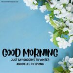 85+ Fantastic Good Morning Spring Images With Wishes