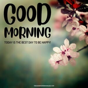 85+ Fantastic Good Morning Spring Images With Wishes