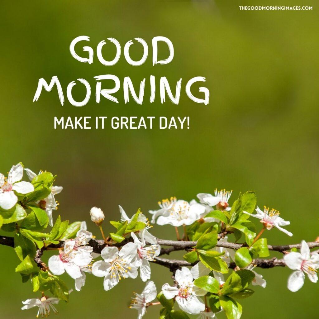 85+ Fantastic Good Morning Spring Images With Wishes