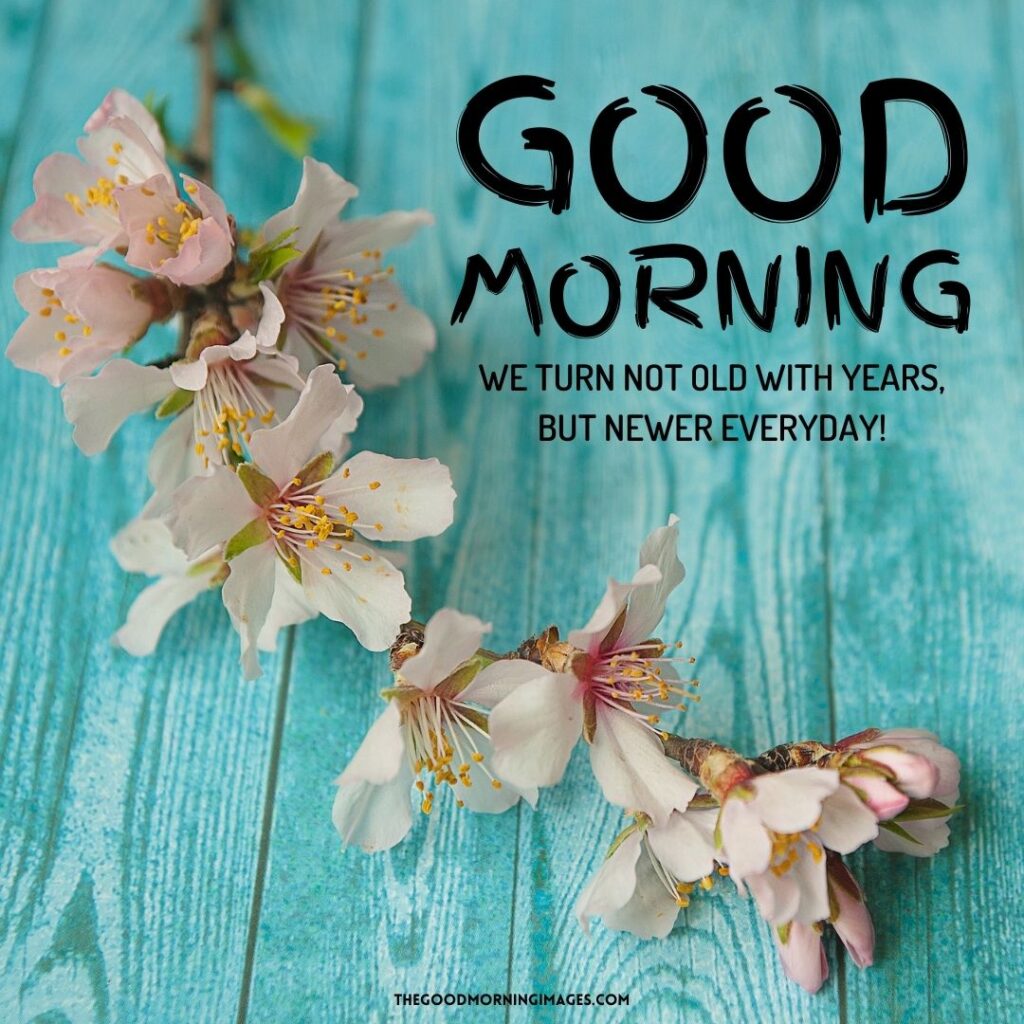 85+ Fantastic Good Morning Spring Images With Wishes