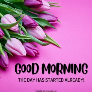 85+ Fantastic Good Morning Spring Images With Wishes