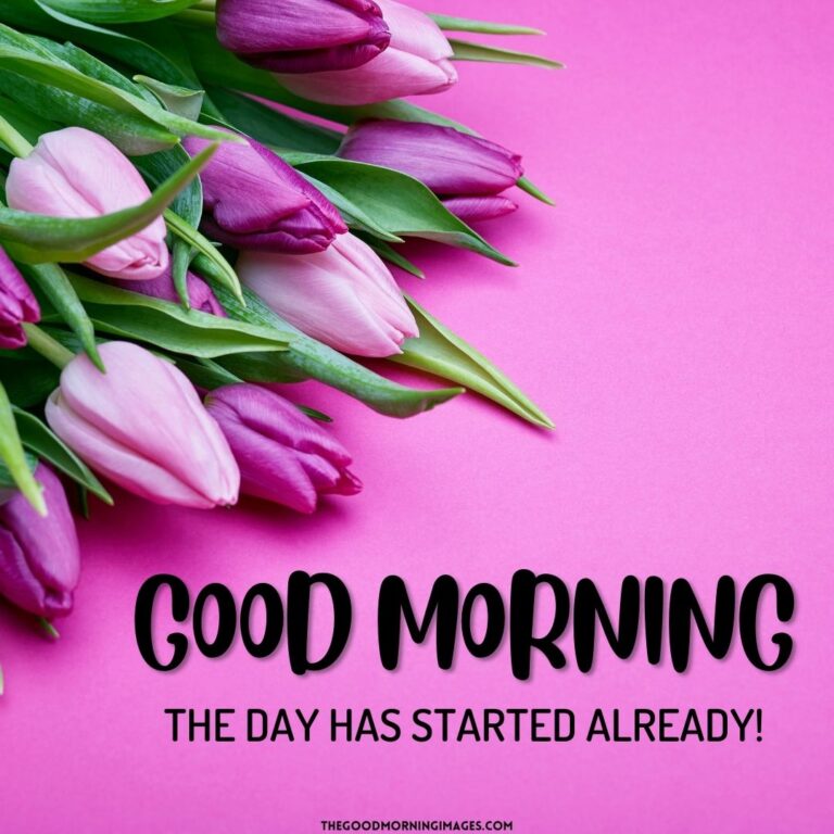 85+ Fantastic Good Morning Spring Images With Wishes