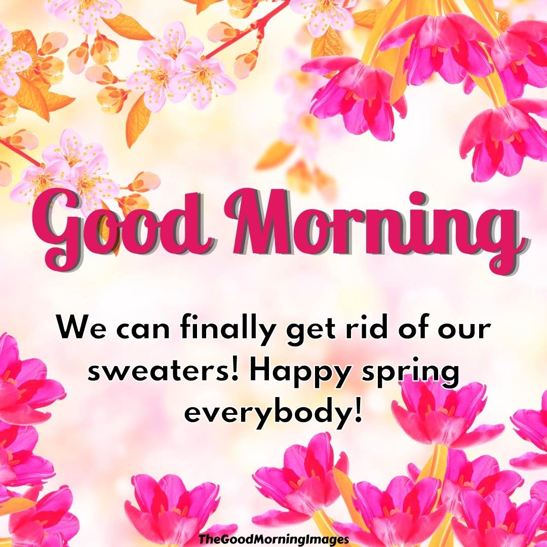 85+ Fantastic Good Morning Spring Images With Wishes