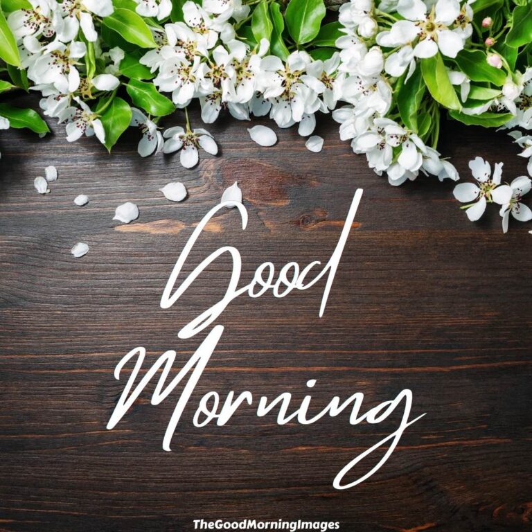 85+ Fantastic Good Morning Spring Images With Wishes