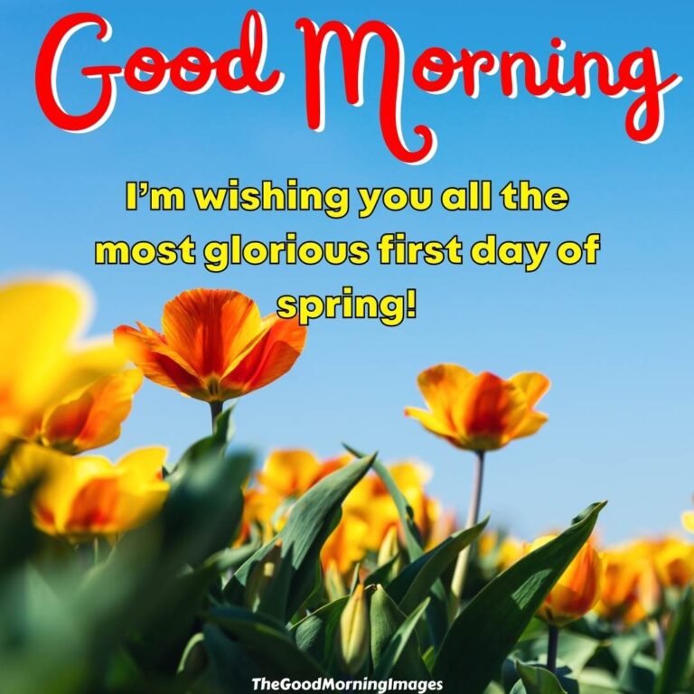 85+ Fantastic Good Morning Spring Images With Wishes
