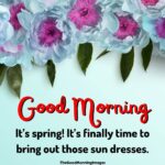 85+ Fantastic Good Morning Spring Images With Wishes