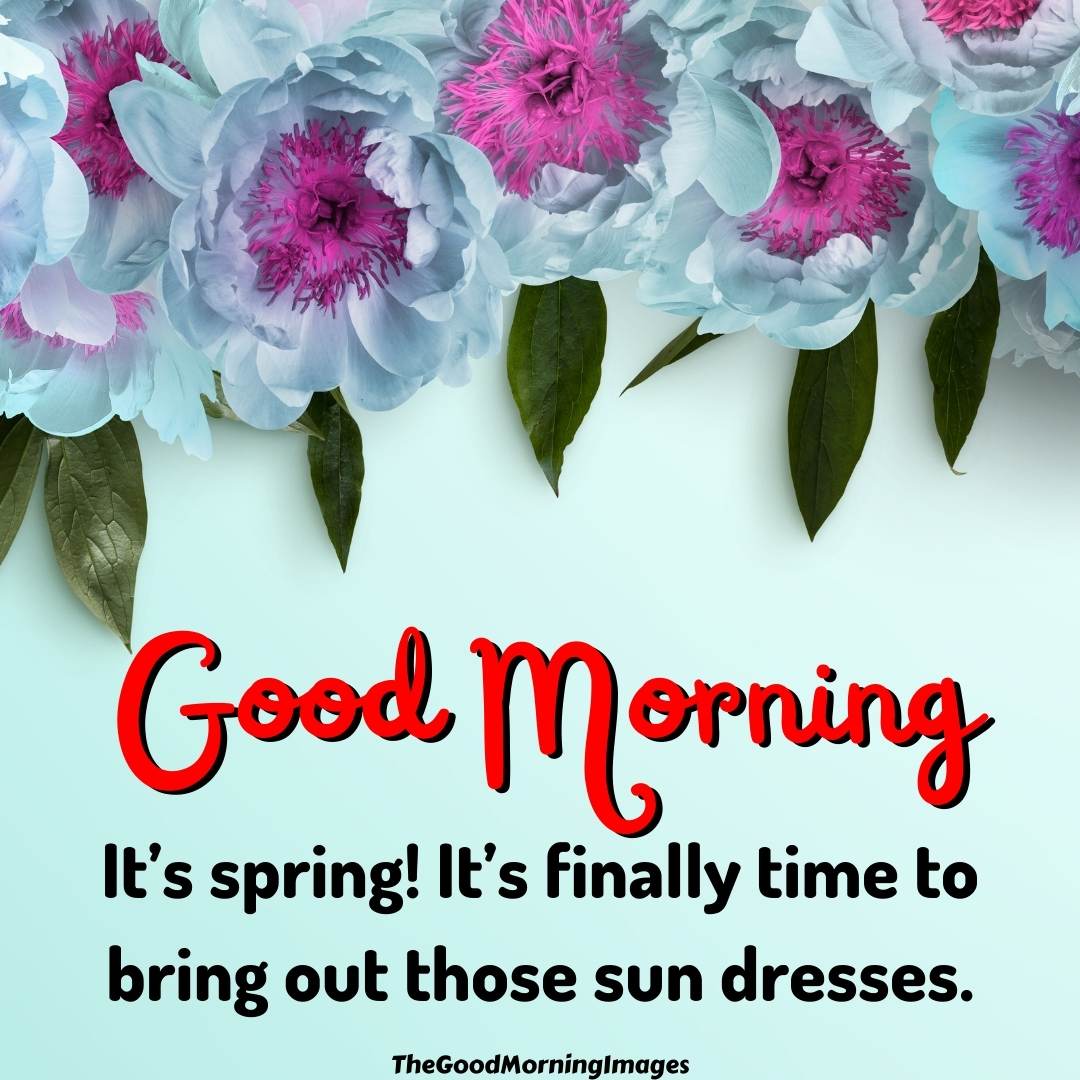 85+ Fantastic Good Morning Spring Images With Wishes