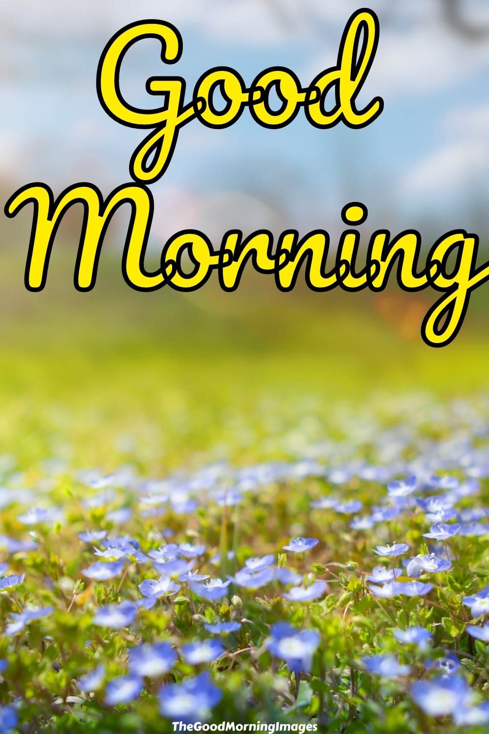 85+ Fantastic Good Morning Spring Images With Wishes