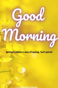 85+ Fantastic Good Morning Spring Images With Wishes