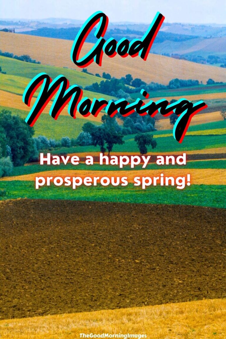 85+ Fantastic Good Morning Spring Images With Wishes