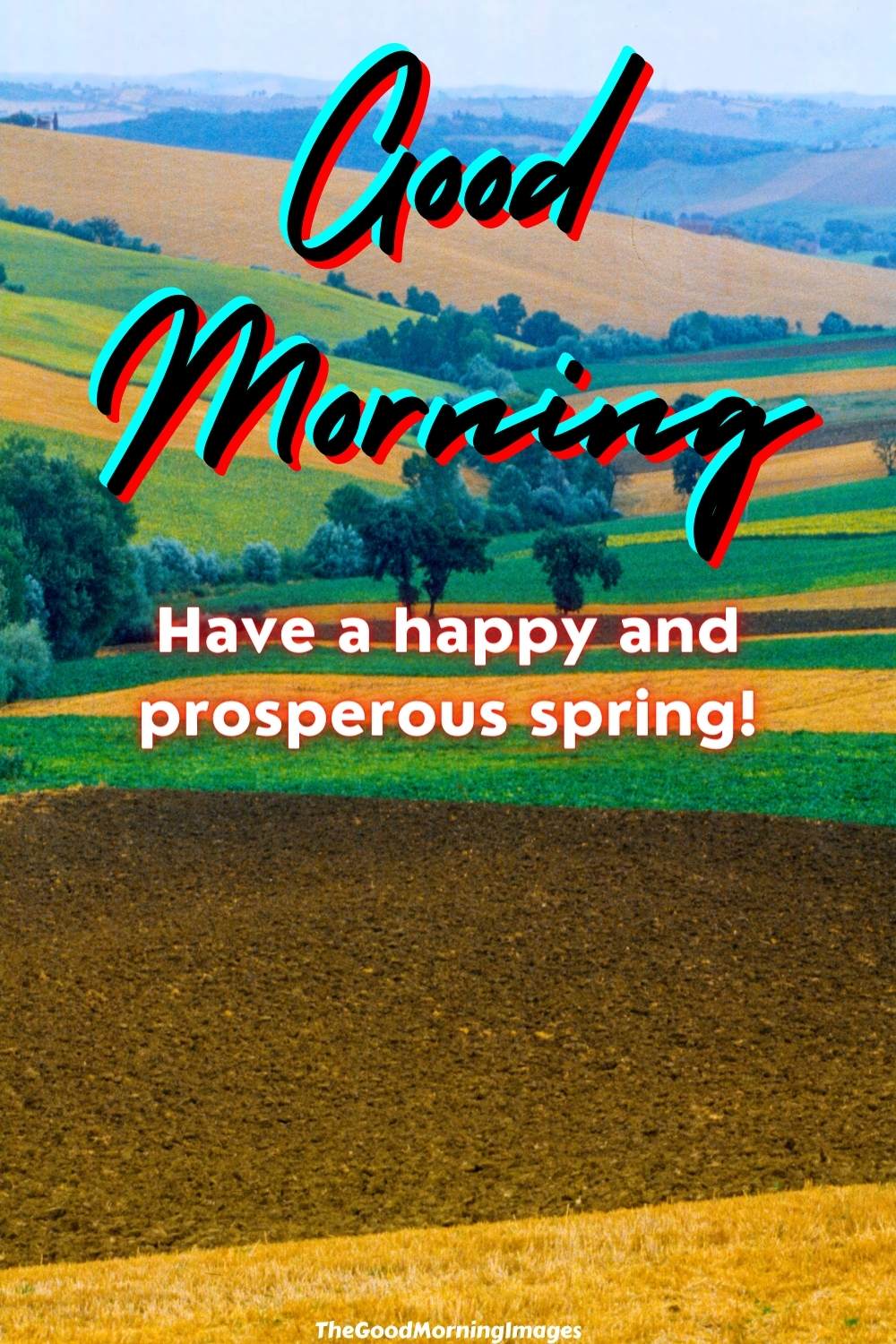 85+ Fantastic Good Morning Spring Images With Wishes